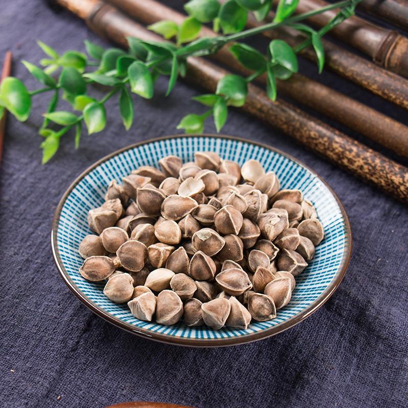 Buy Herb Tea 100g La Mu Zi 辣木, Moringa Oleifera, Drumstick Lamu Direct ...