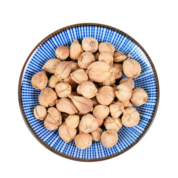 Buy Herb Tea 250g Bai Dou Kou 白豆蔻, Bai Kou Ren, Round Cardamom Fruit ...