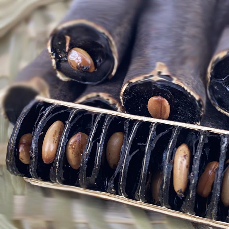 Buy Herb Tea 500g Bian Mi Guo 便秘果, Cassia Fistula Fruit, Da Jie Guo ...