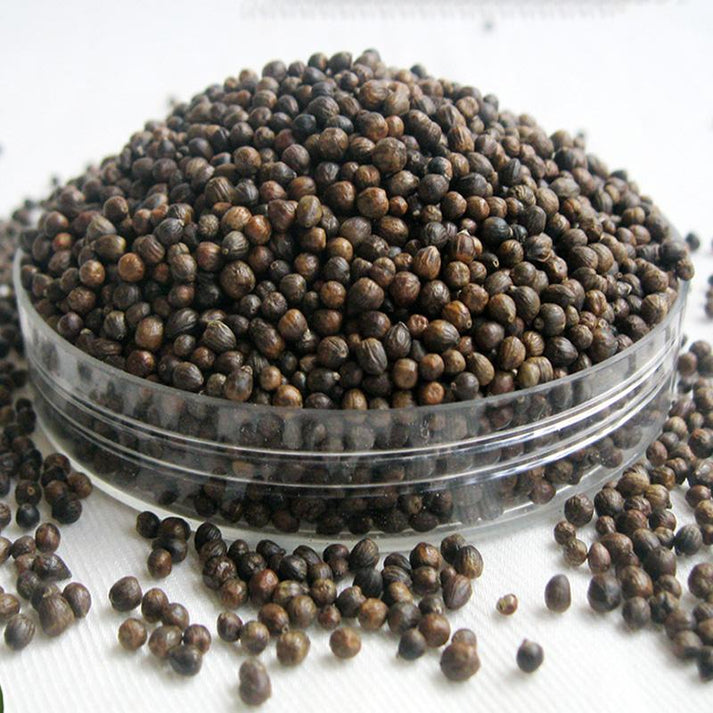 Buy Herb Tea 500g Huang Jing Zi 黄荆子, Negundo Chastetree Fruit, Fructus ...