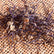 Buy Herb Tea 500g Jue Cai 蕨菜, Pteridium Aquilinum, 拳头菜, 猫爪, 龙头菜 Direct ...