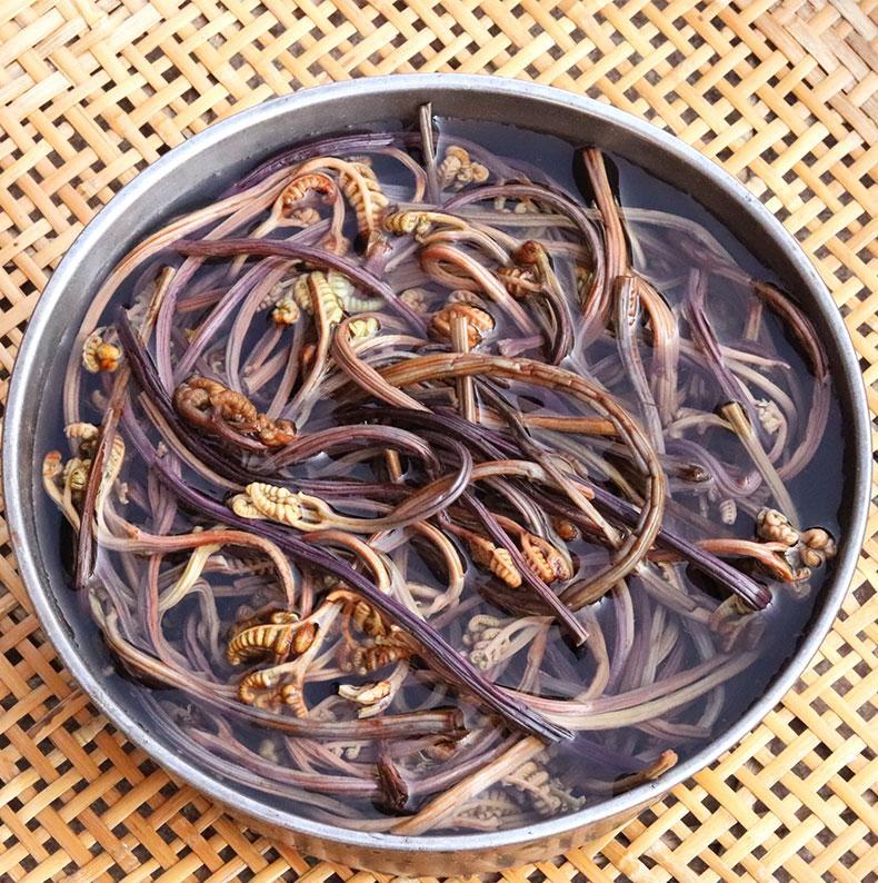 Buy Herb Tea 500g Jue Cai 蕨菜, Pteridium Aquilinum, 拳头菜, 猫爪, 龙头菜 Direct ...