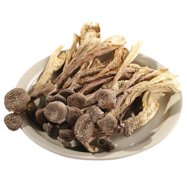 Buy Herb Tea 500g Lu Rong Gu 鹿茸菇, Mushroom Ramaria Botrytoides, Edible ...