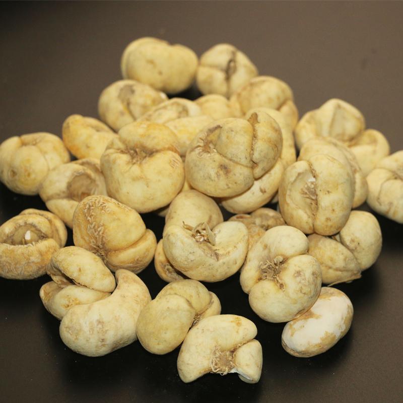 Buy Herb Tea 50g Zhe Bei Mu 浙贝母, Bulb Of Thunberg Fritillary, Bulbus ...