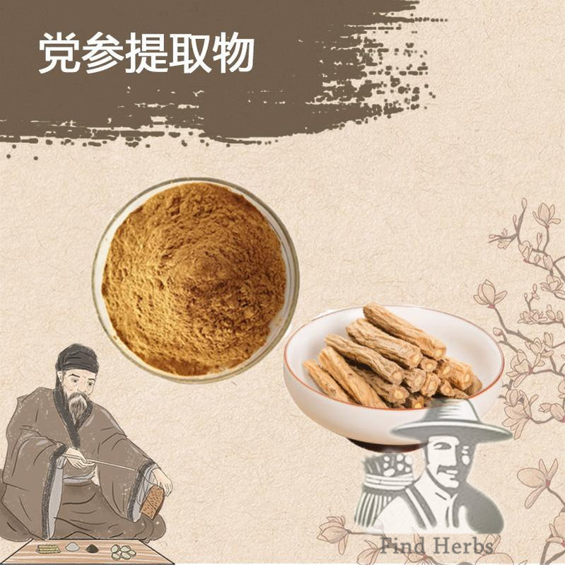 Buy Herb Tea Extract Powder Dang Shen 黨參, Radix Codonopsis, Pilose ...