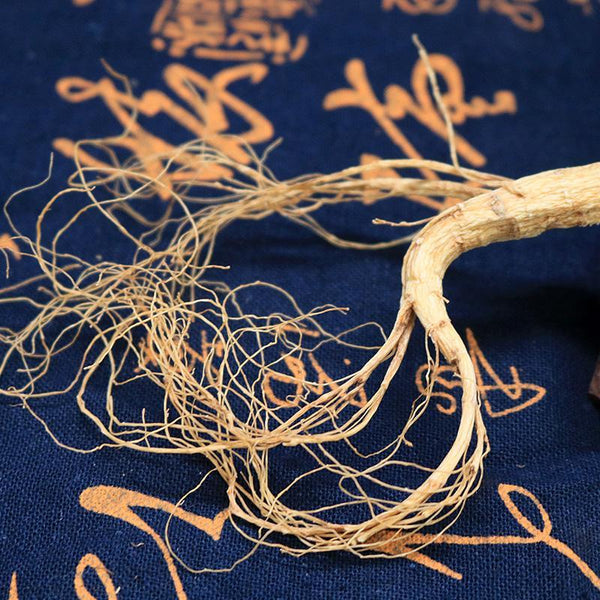 Buy Herb Tea Lin Xia Shen 林下参, 18 Years Wild Radix Panax Ginseng ...