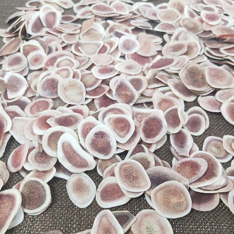 Buy Herb Tea Lu Rong Gu Zhi Pian 鹿茸, Cartialgenous, Sika Deer Antler ...