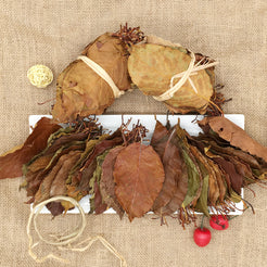 Buy Herb Tea 100g Shan Zha Ye 山楂叶, Leaf Crataegi, Chinese Hawthorn ...